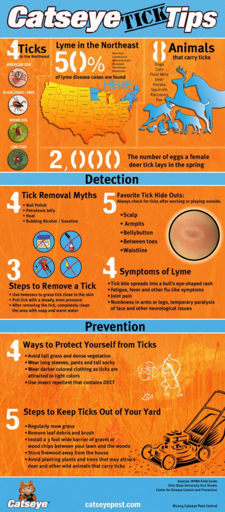Tick Prevention for Humans: How to Avoid Lyme Disease | Catseye Pest ...