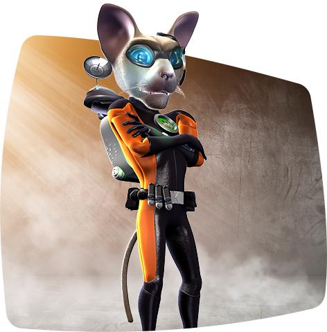 Meet the Catseye Cat Mascots | Catseye Pest Control